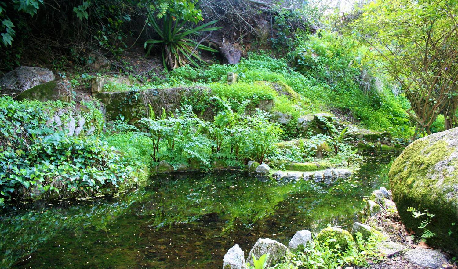 Mountain Walk In Monchique | experitour.com