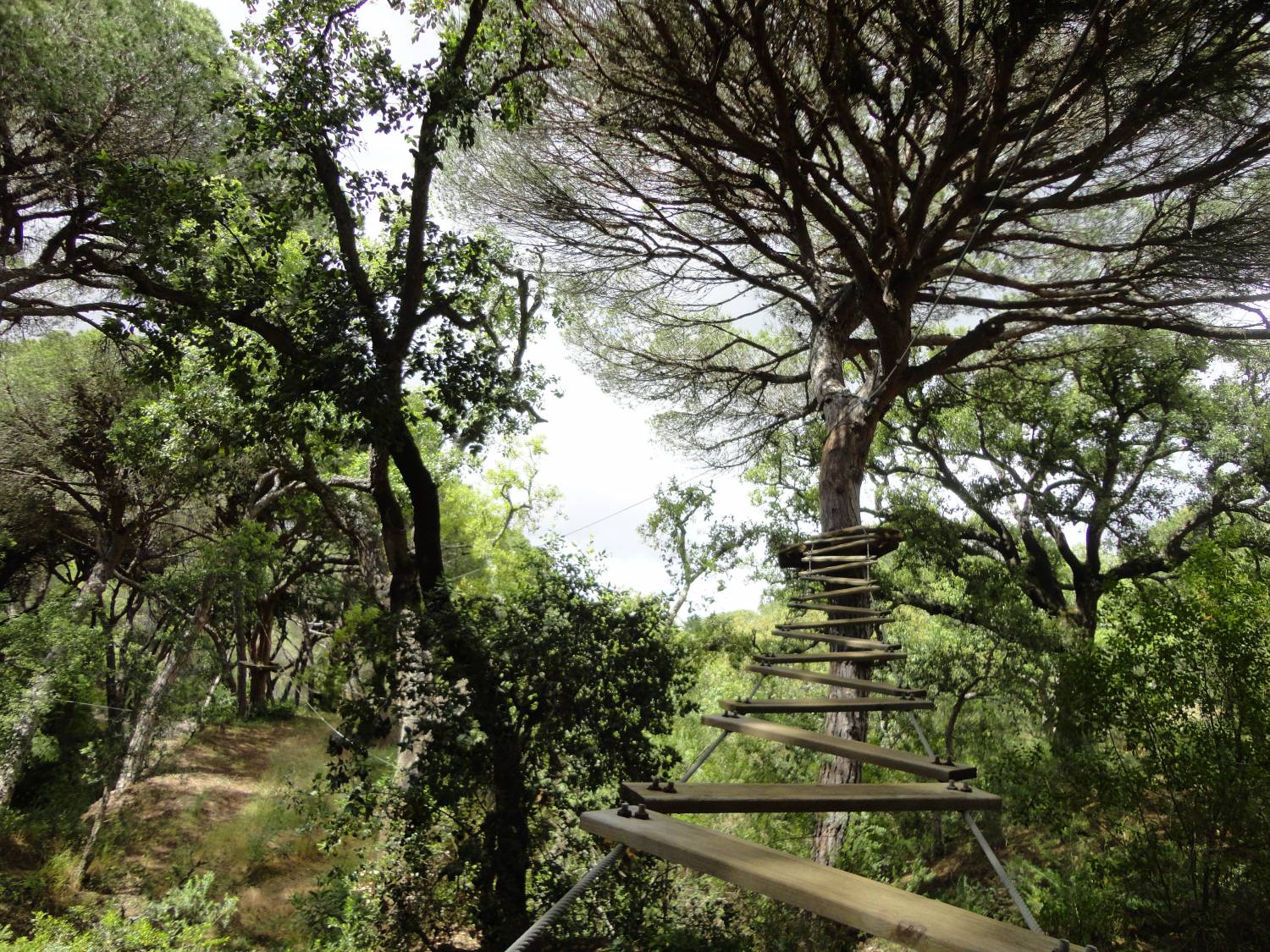 Adventure Park Albufeira | experitour.com