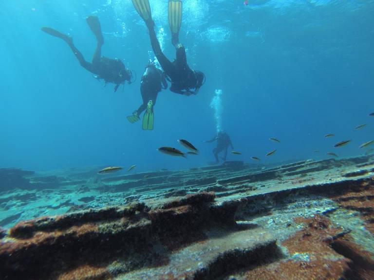 Padi Course - Fish Identification - Tenerife | experitour.com
