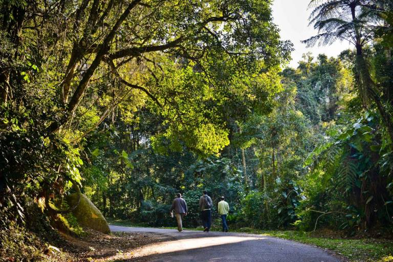 Eco Tour De São Paulo - Brazil | experitour.com