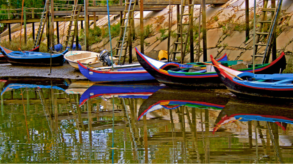 Tagus Vineyards - Off Beaten Track At Tagus Valley Wine Tour ...