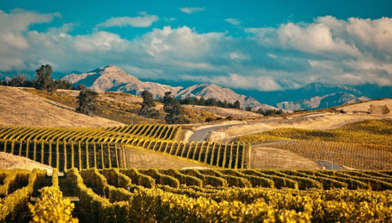 Waipara Valley Top Tours and Tips | experitour.com
