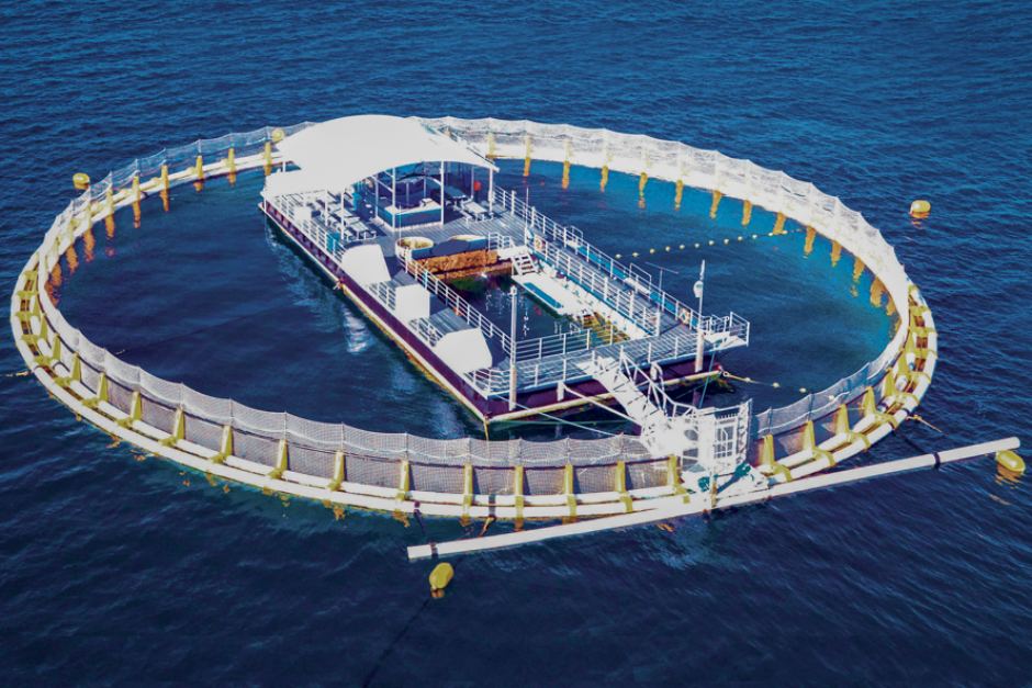 Aquarium Swim - Granite Island, South Australia | experitour.com