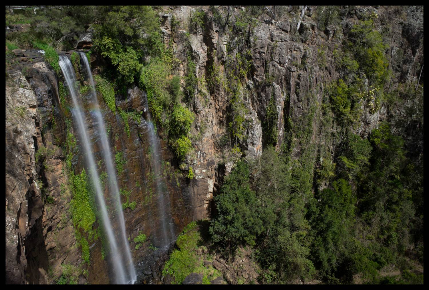 Queen Mary Falls Top Tours and Tips | experitour.com