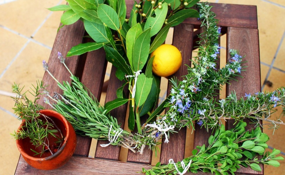 Let’S Make Hierbas! - Mallorca, Spain | experitour.com