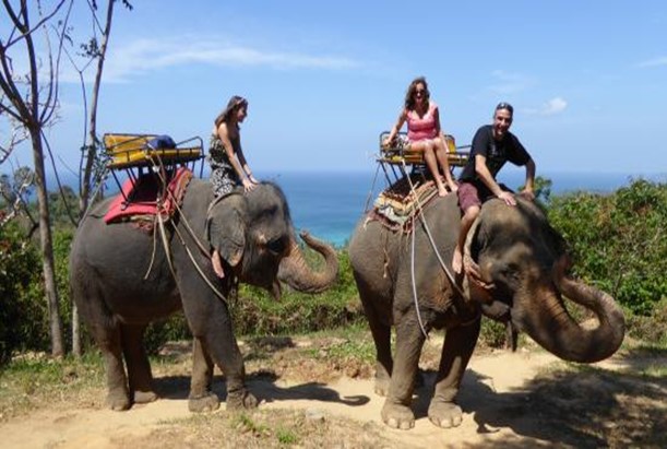 One Day Tour - Ride An Elephant And Enjoy The Skyline Of Phuket ...