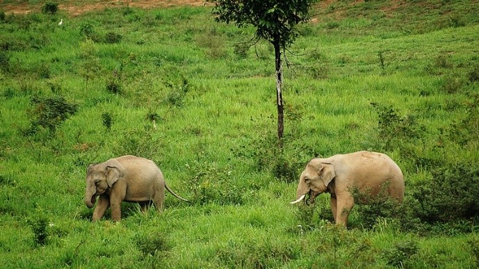 Pranburi Cruise And Adventure Tour At Kui Buri | experitour.com