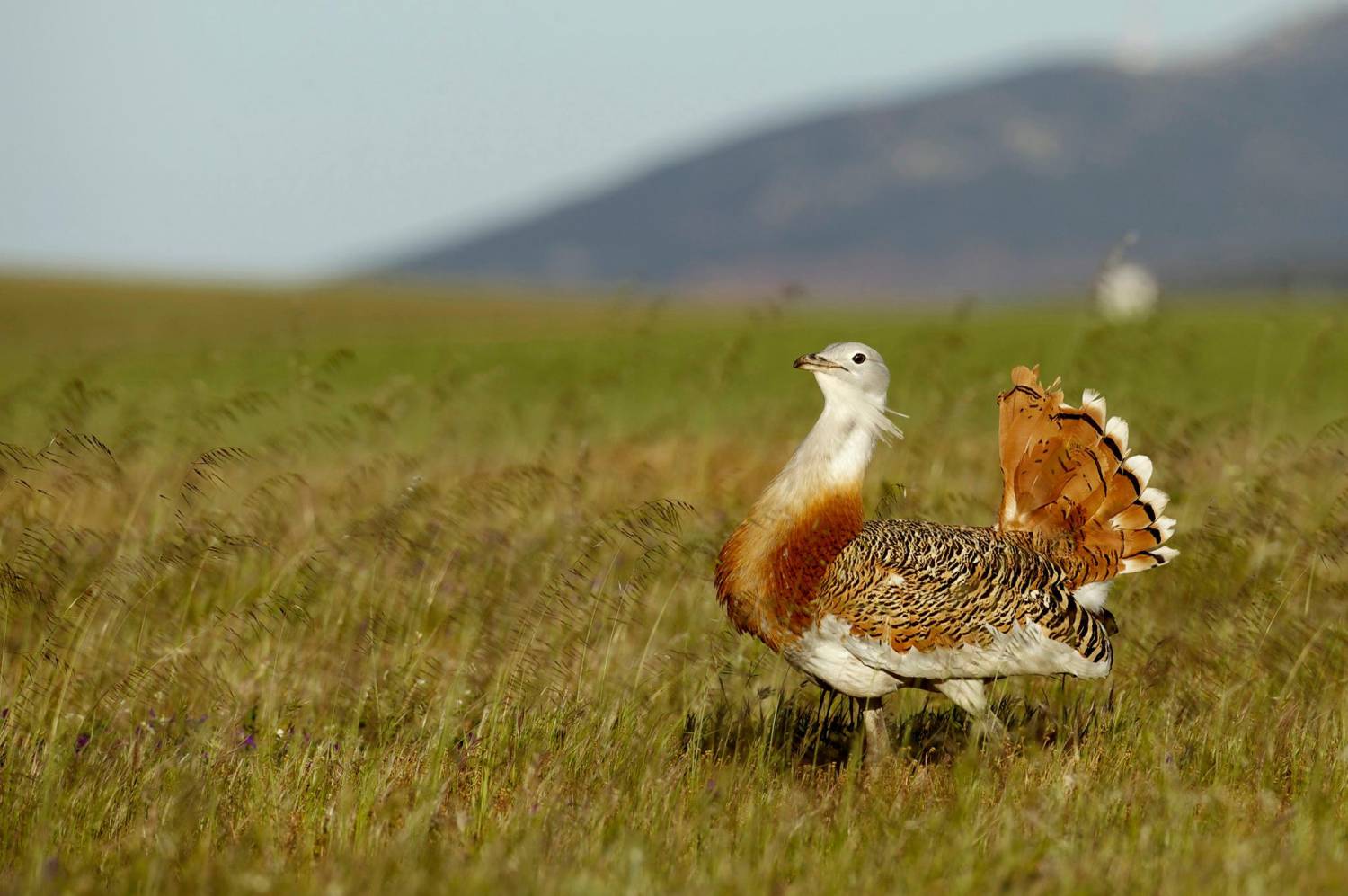 Castro Verde Top Tours and Trips | experitour.com