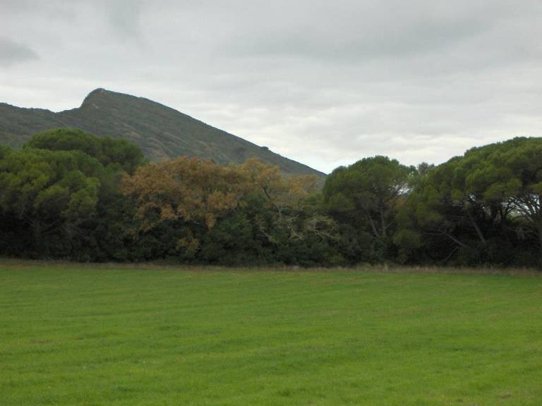 7 Hours Hiking Tour In Serra Do Risco - The Highest Cliff In Portugal ...