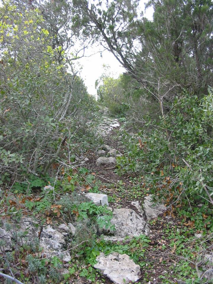 7 Hours Hiking Tour In Serra Do Risco - The Highest Cliff In Portugal ...