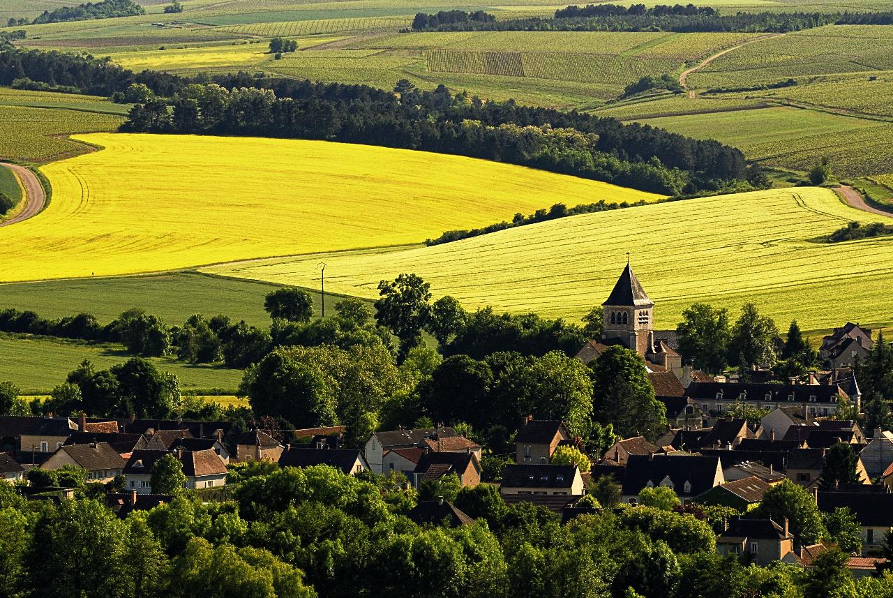 Chablis Vine Tour 1-3 People Sedan | experitour.com