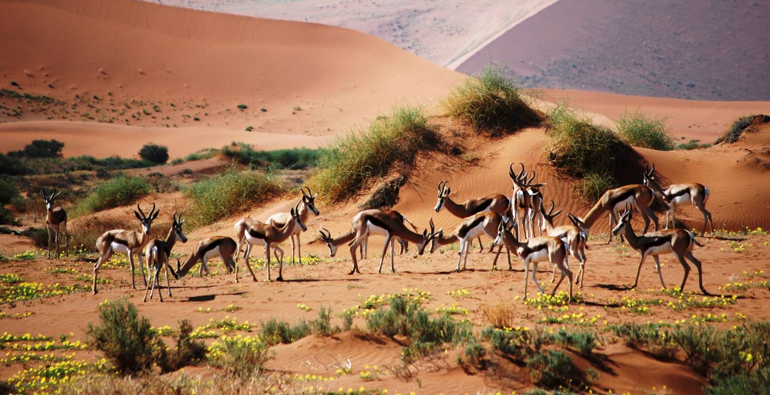 6 Day Namibian Taste | experitour.com