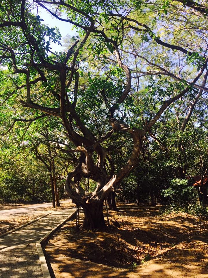 Tour Histórico De Casona, Parque Nacional Santa Rosa, Costa Rica ...