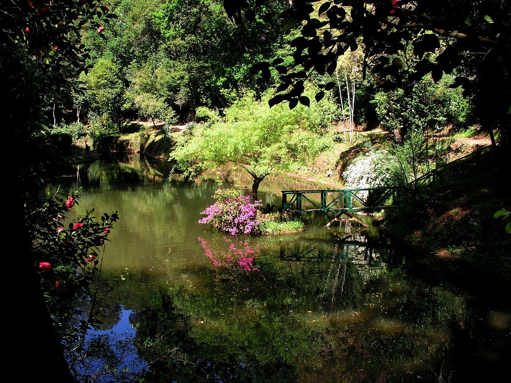 La Forêt De Buçaco Et Curie | experitour.com