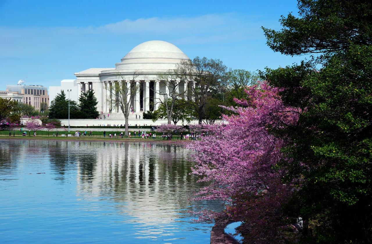 See The City Segway Tour - Washington | experitour.com