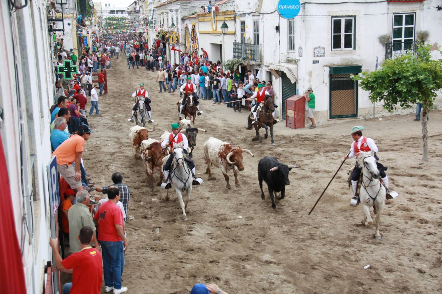 Azambuja Top Tours and Trips | experitour.com