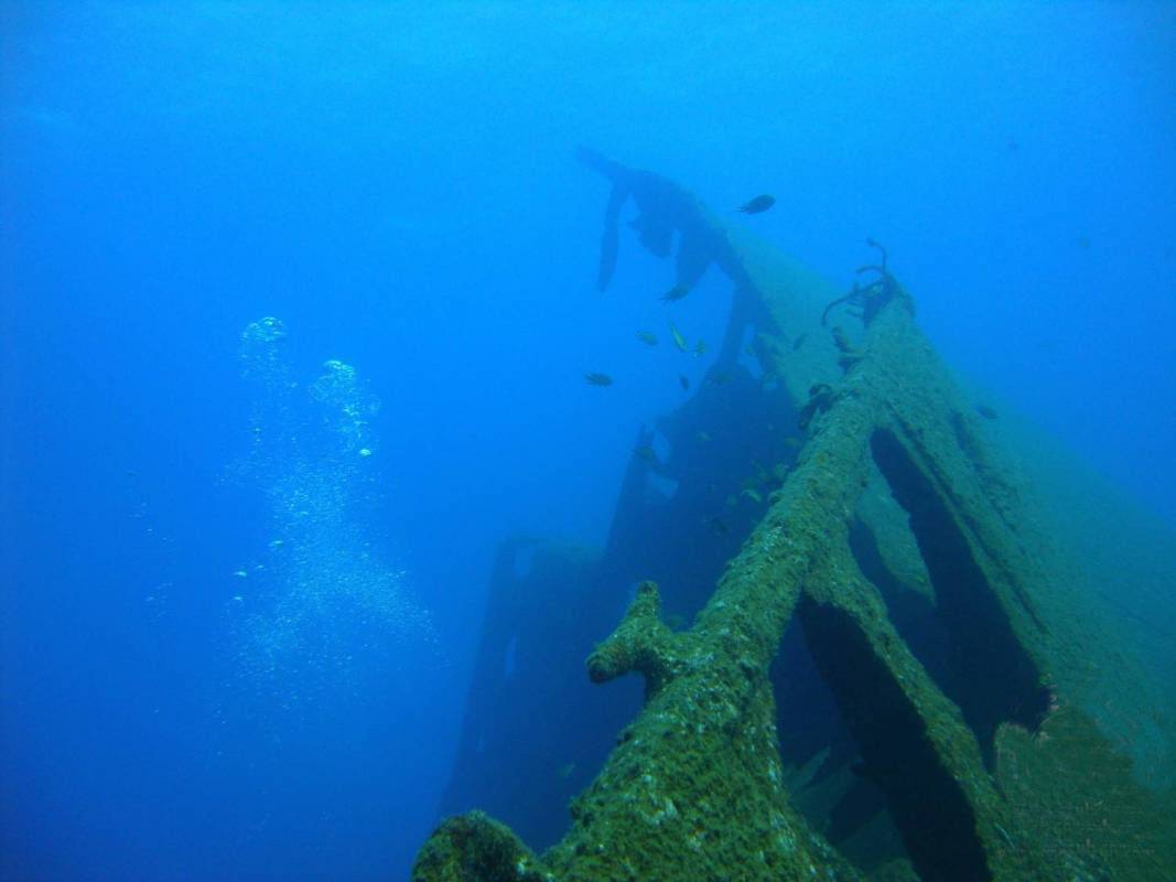 Double Scuba Diving In The Island Of São Miguel, Azores | experitour.com