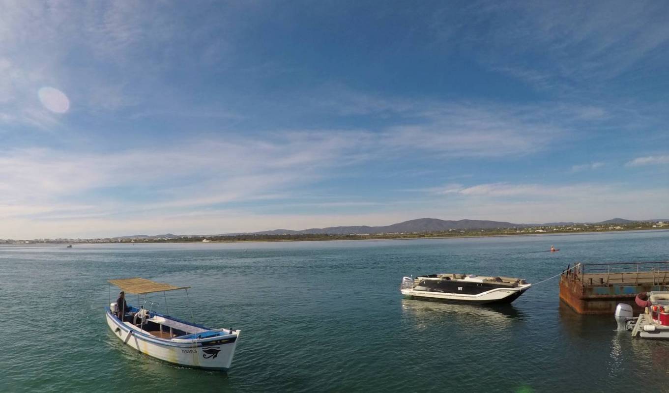 Tour de Barco Pela Ria Formosa: Ilha da Culatra e Armona | experitour.com