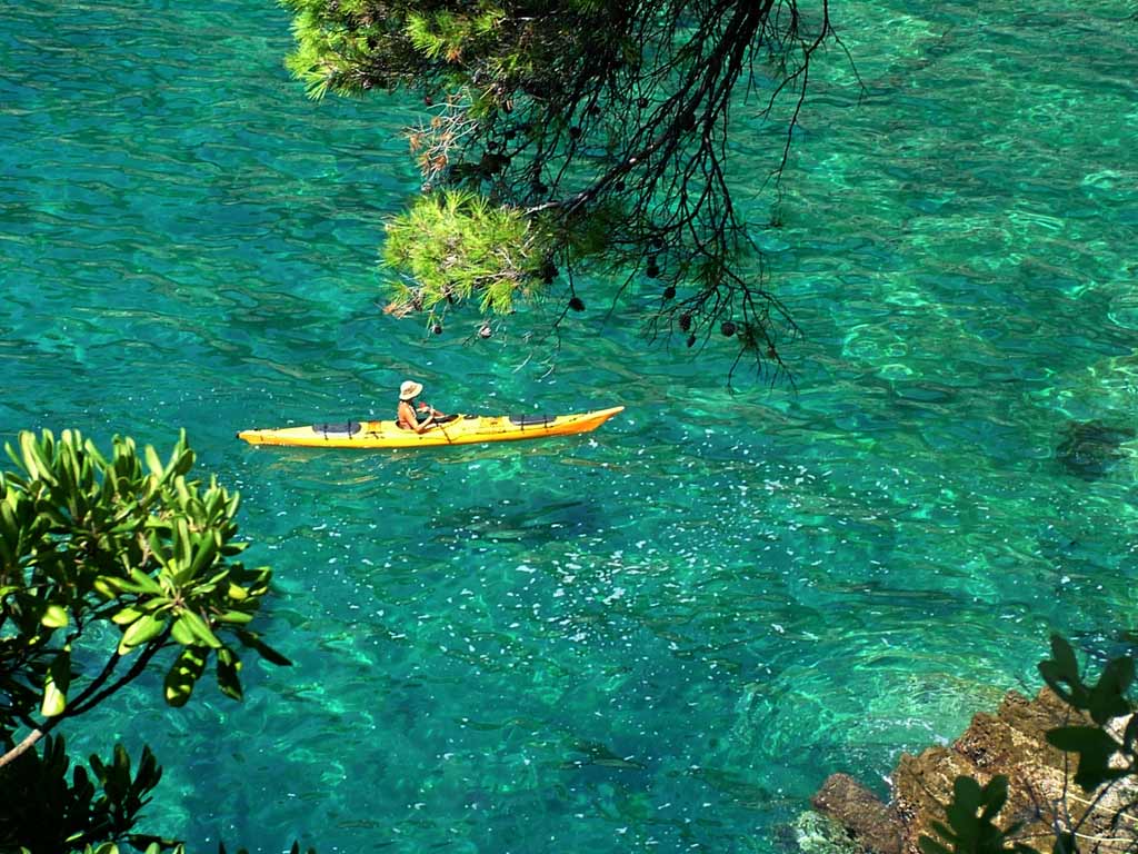 From Dubrovnik: Half-Day Sea Kayaking Tour At Zaton Bay | experitour.com
