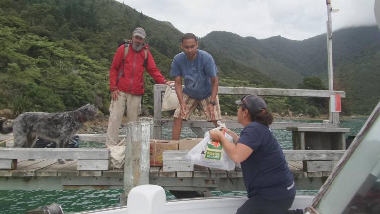 From Havelock: 6-Hour Cruise In Pelorus Sound | experitour.com