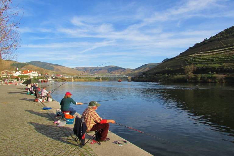 Excursão Ao Vale Do Douro Saindo Do Porto Com Almoço E Degustação De ...