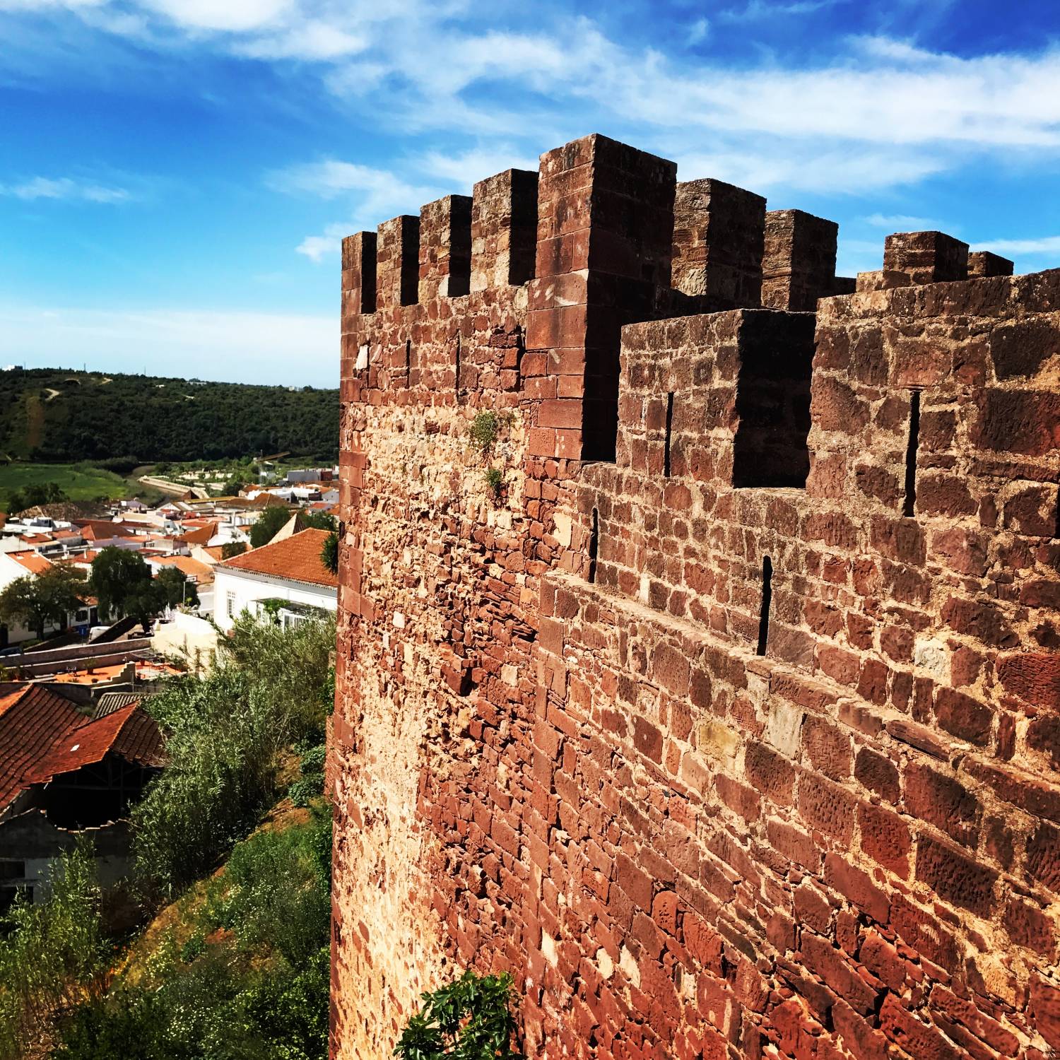 Albufeira: Full Day Of Wine Tasting In Vineyards And Visit To Silves ...