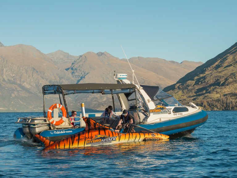 Queenstown: Boat Ride & Seabreacher Shark Experience For Group ...