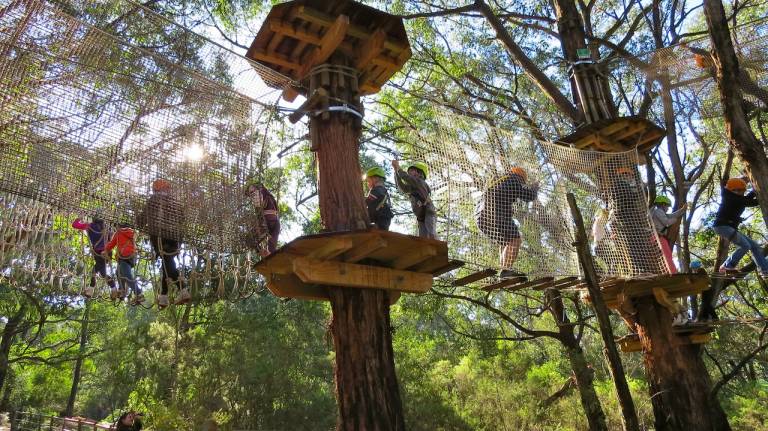 From Melbourne: Tour To Enchanted Adventure Garden With Tree Surfing ...