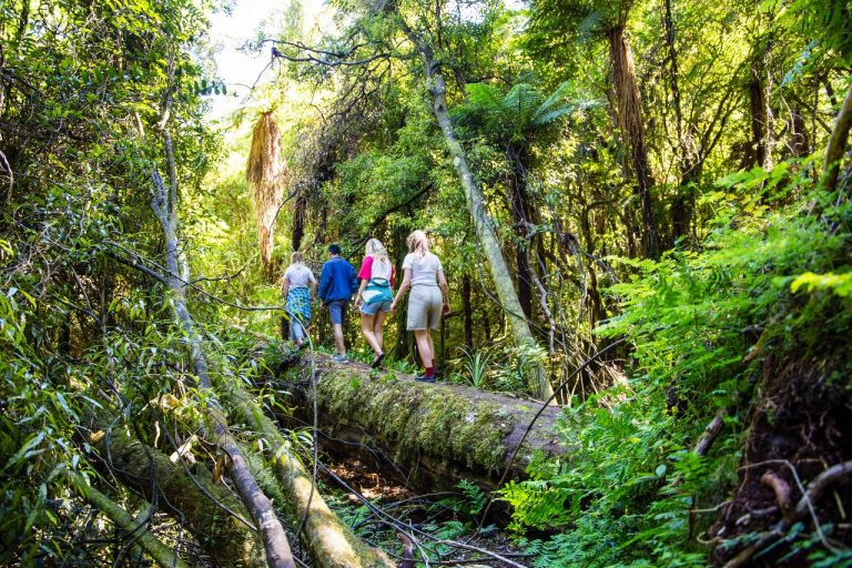Tour In Lord Of The Rings Filming Locations From Wellington: Rivendell ...