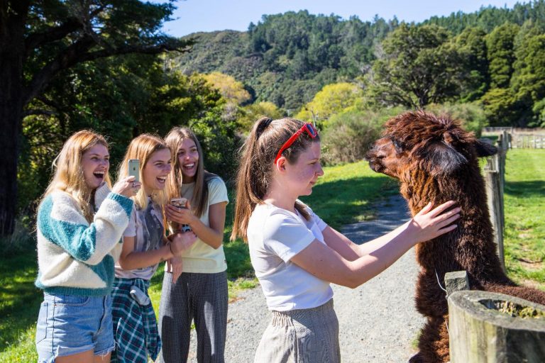 Tour In Lord Of The Rings Filming Locations From Wellington: Rivendell ...