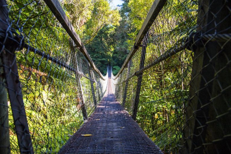 Tour In Lord Of The Rings Filming Locations From Wellington: Rivendell ...