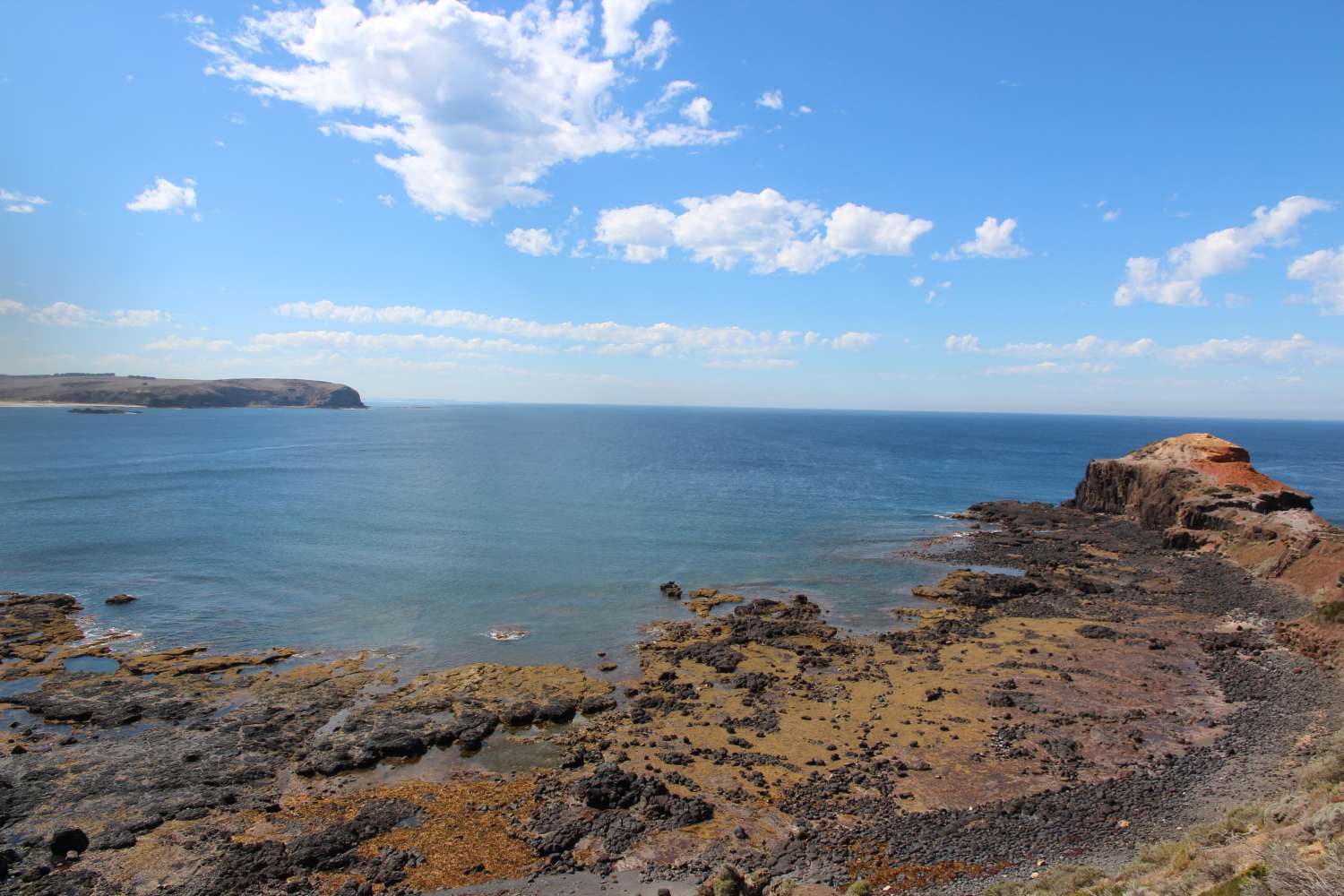 Mornington Peninsula Top Tours and Tips | experitour.com