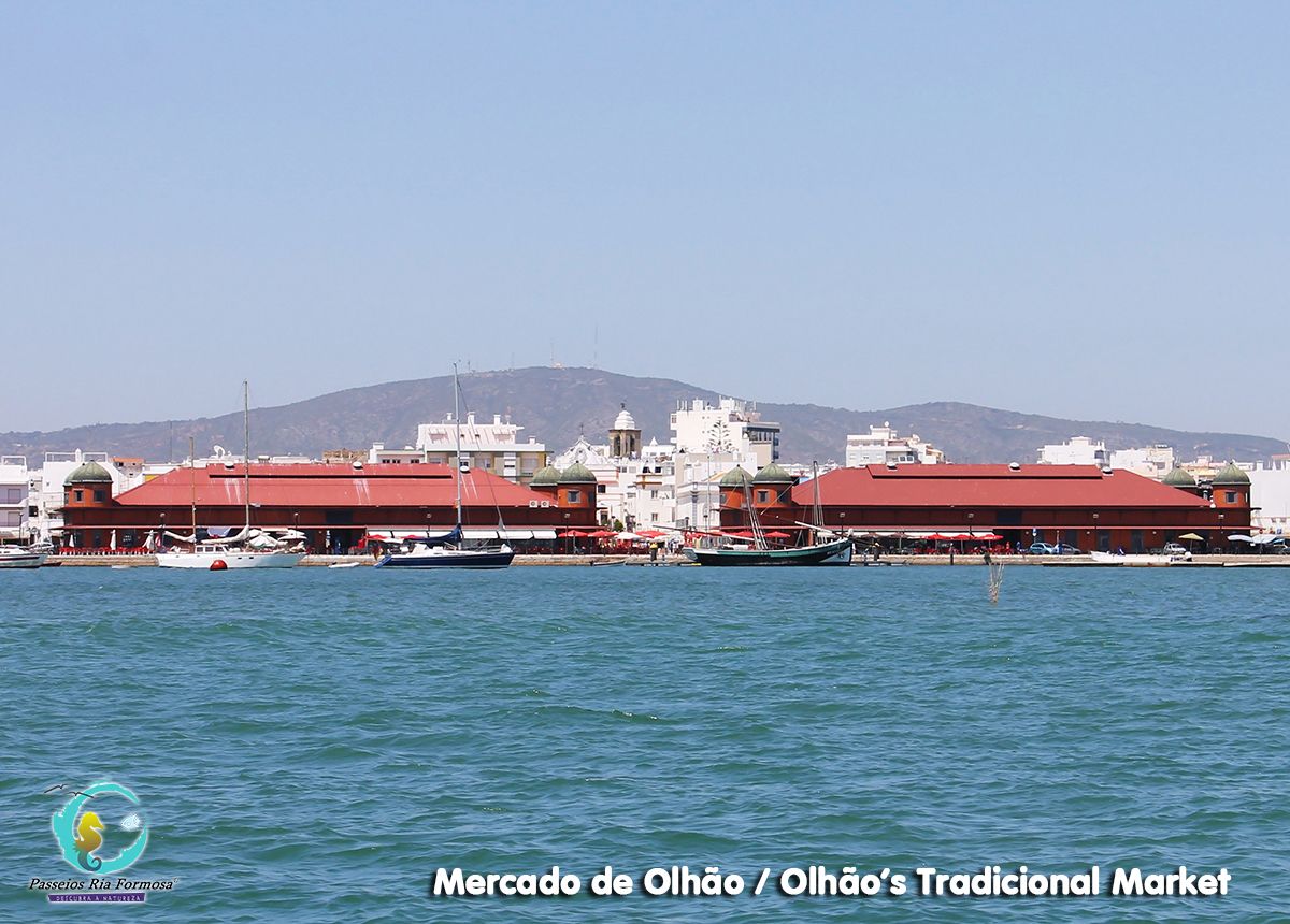 From Fuzeta Island: Full-Day Boat Tour To The Islands Of Ria Formosa In ...