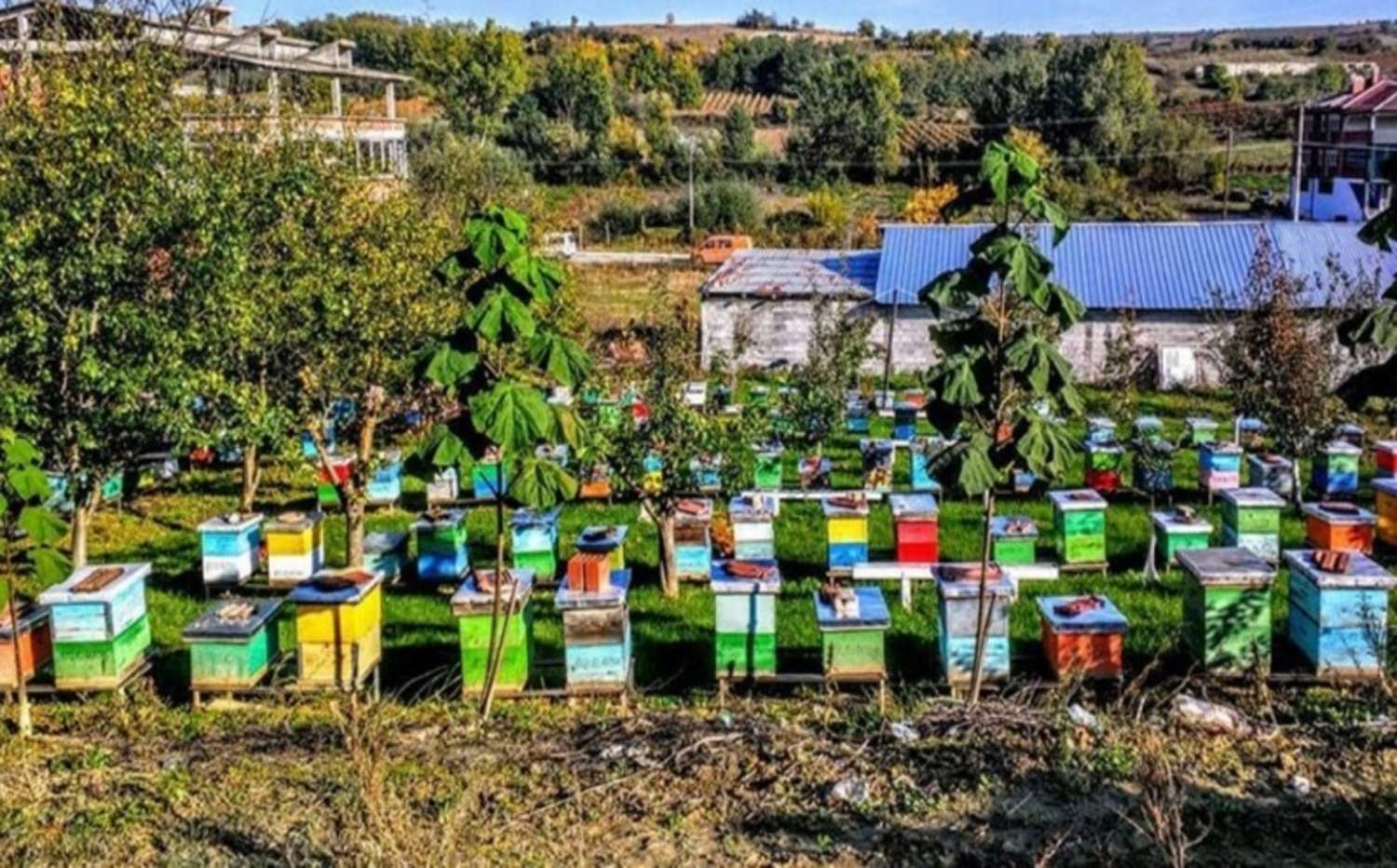 9-Day Trekking Tour In The Albania Southern Honey Trail | experitour.com