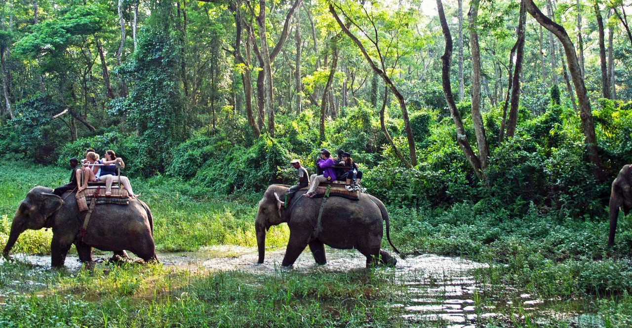 Chitwan Top Tours and Trips | experitour.com