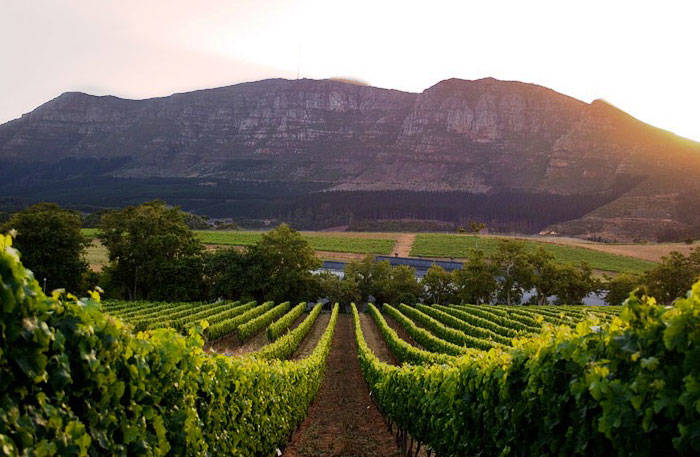 Cape Town: City, Table Mountain, Gardens And Wine Tasting Full Day Tour ...