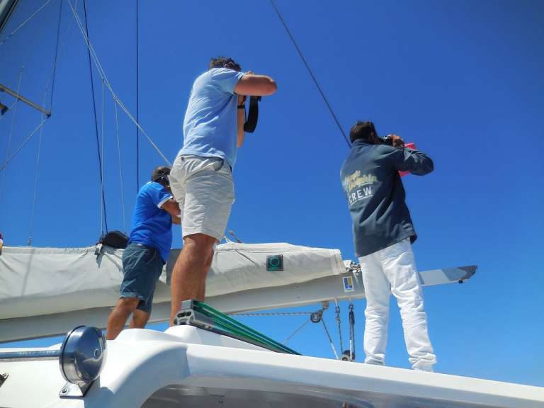 Madeira Island: 2,5-Hour Dolphin & Whale Watching On A Luxurious ...