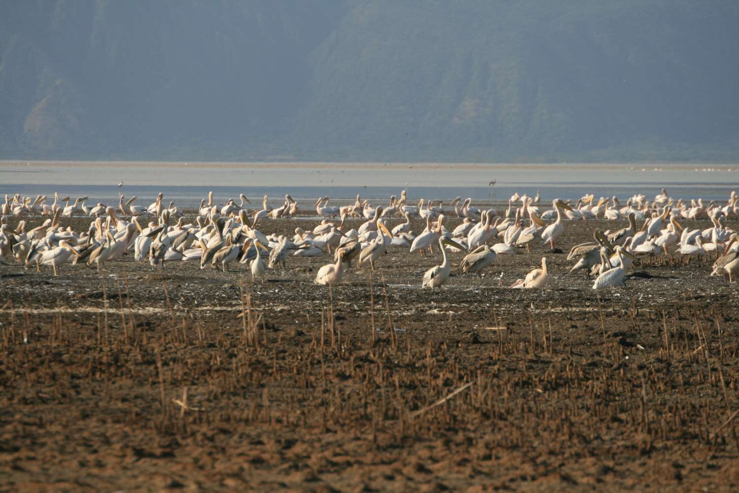 Lago Eyasi Top Tours and Tips | experitour.com