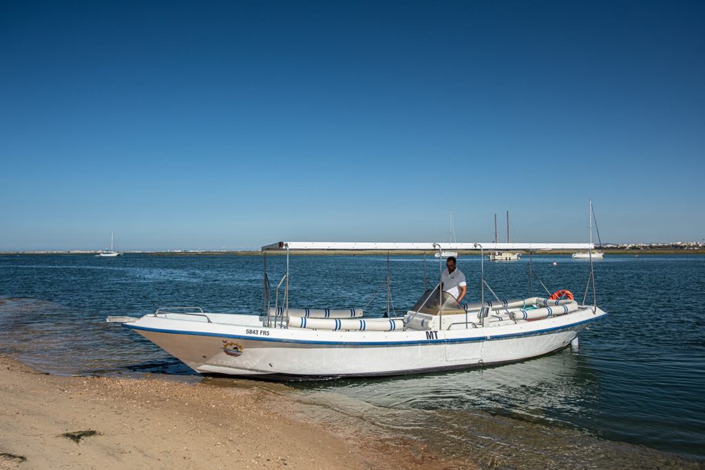 2H30 Ria Formosa Birdwatching Ecofriendly Boat Tour | experitour.com