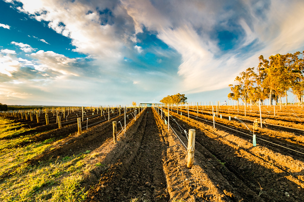 Hunter Valley Top Tours and Tips | experitour.com