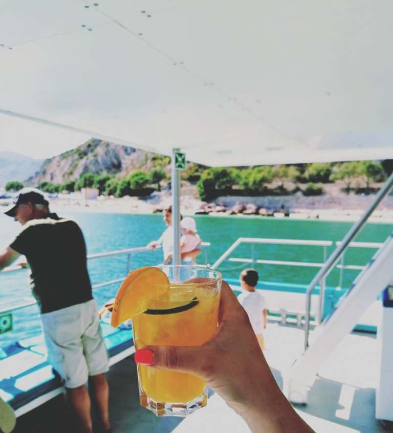 Dolphin Watching Catamaran Tour In Setúbal Bay | experitour.com