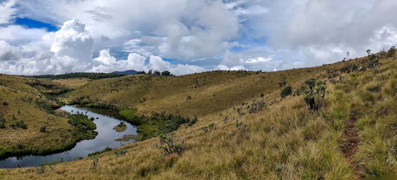 Horton Plains National Park Top Tours and Tips | experitour.com