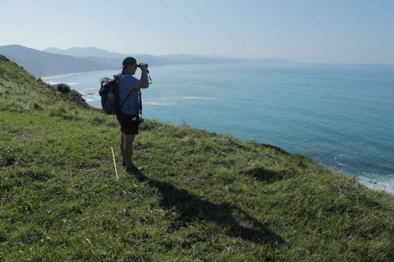 Hiking Tour In The Unesco'S Basque Coast Geopark In Zumaia | experitour.com