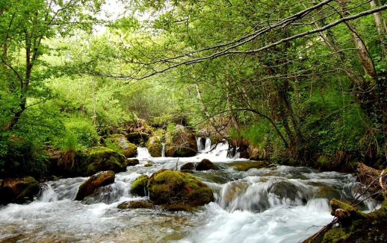 Excursion In Kalinichta & Vevcani Starting From Ohrid | experitour.com