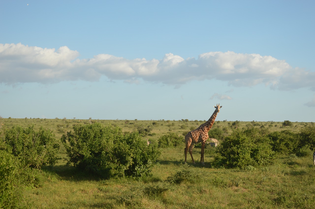 Kenya Top Tours and Trips | experitour.com