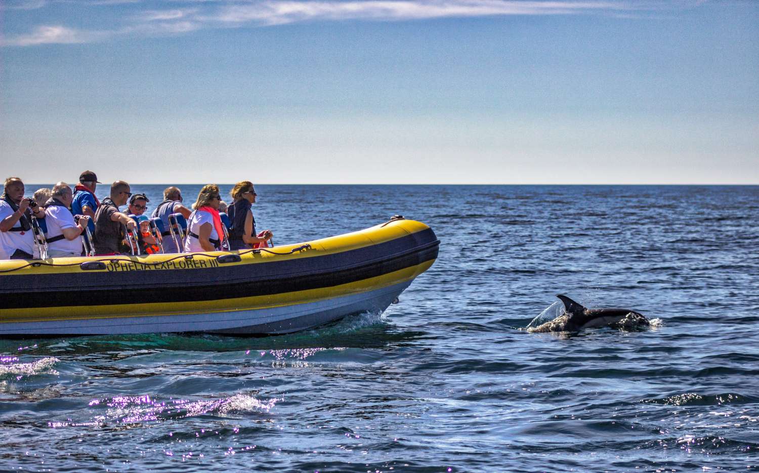 Dolphin Discovery: 2-Hour Boat Tour To Watch Dolphins In Portimão ...