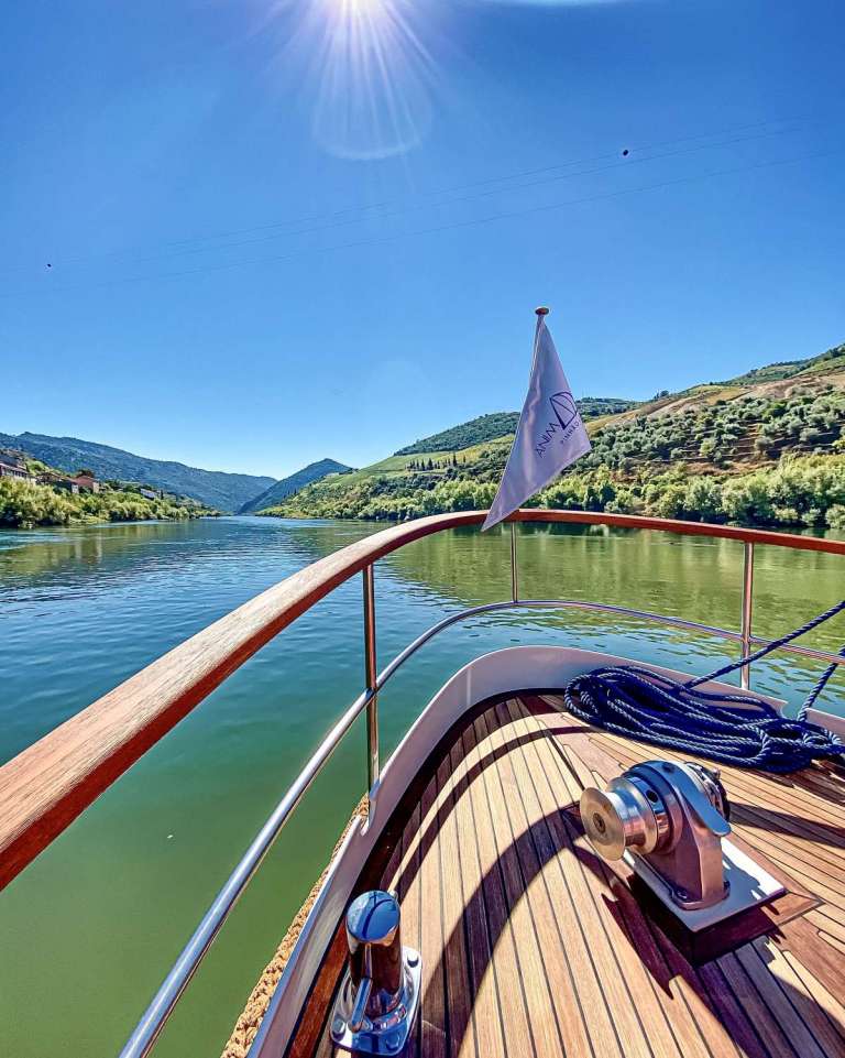 Douro Valley: Private Boat Tour In Douro River With A Glass Of Wine ...