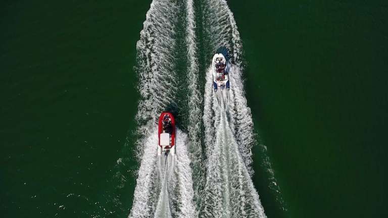 Rio Arade Boat Tour From Portimão | experitour.com