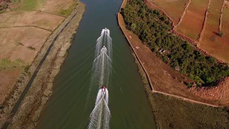 Rio Arade Boat Tour From Portimão | experitour.com