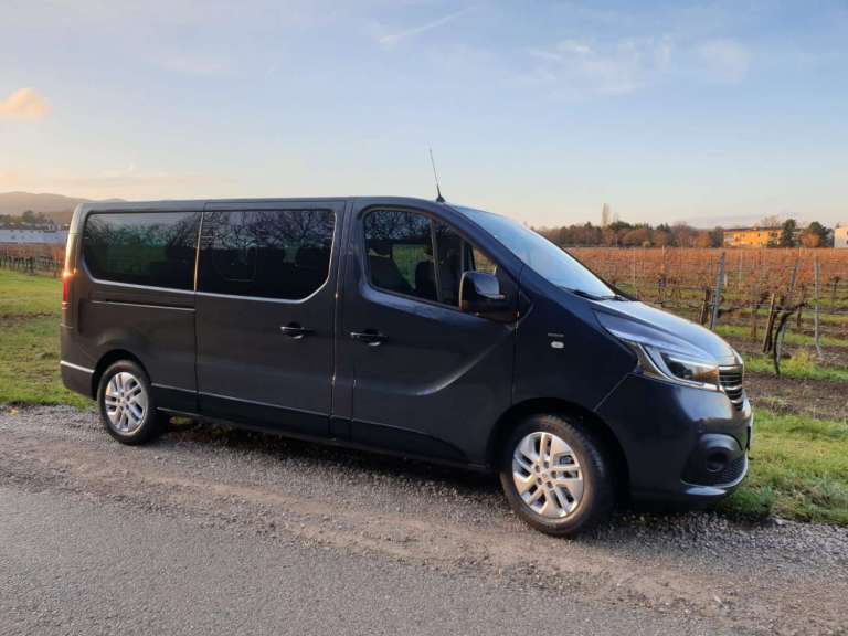 Transfer From Vienna To Budapest (Or Vice Versa) With A Minivan ...